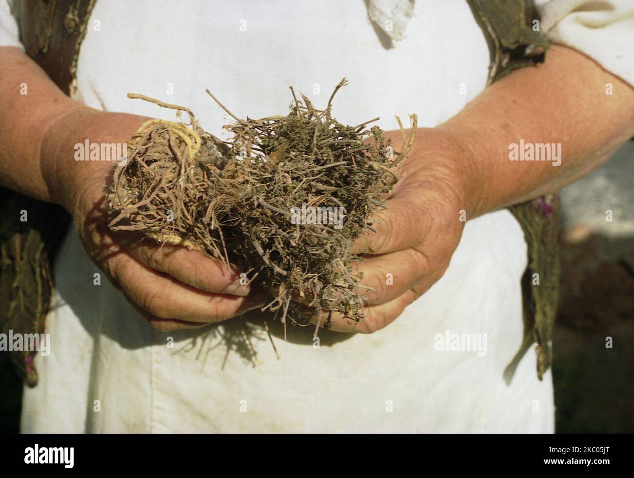 Iarba vantului -Fotos und -Bildmaterial in hoher Auflösung – Alamy