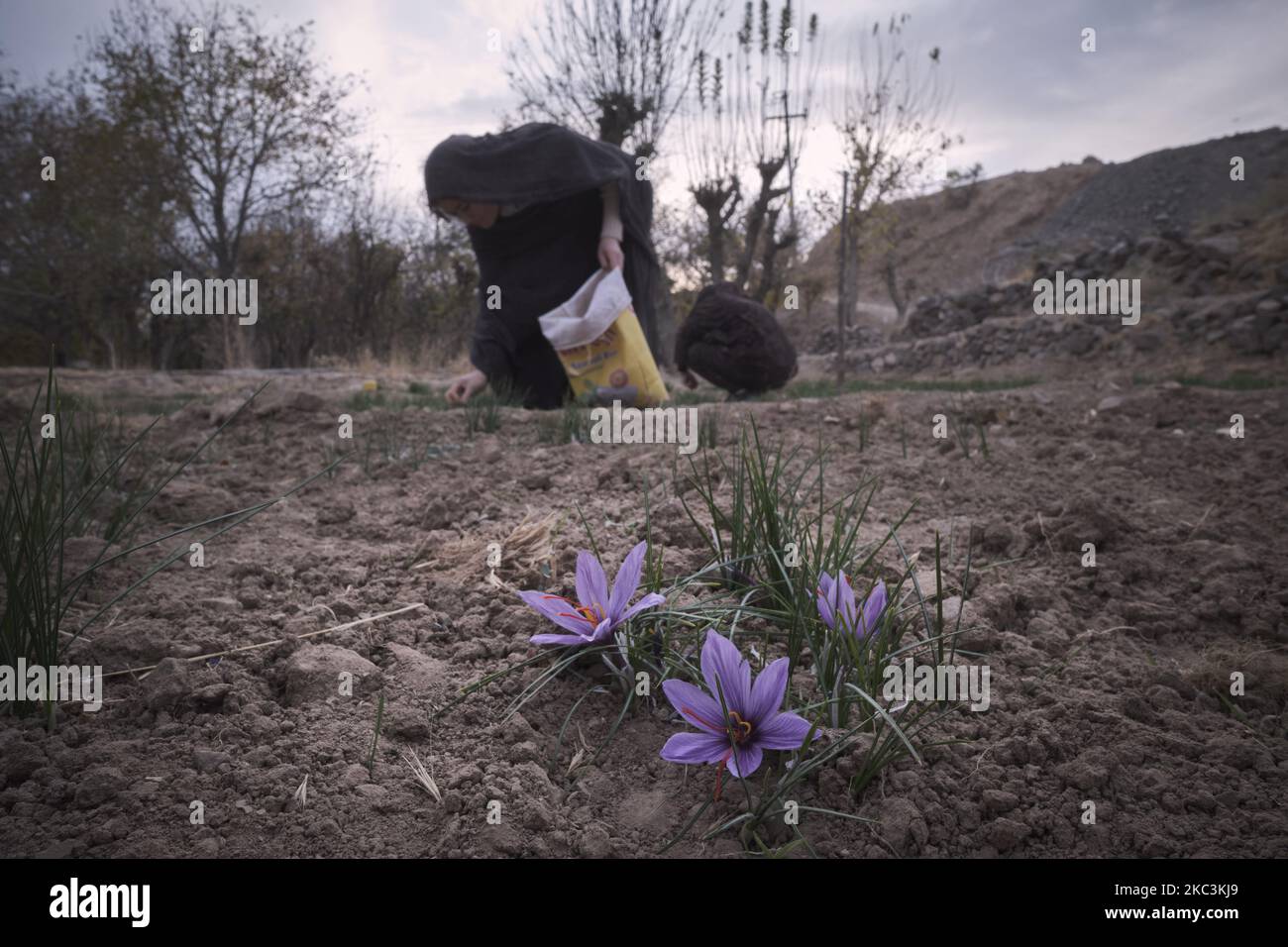 Torbat heydariyeh -Fotos und -Bildmaterial in hoher Auflösung – Alamy
