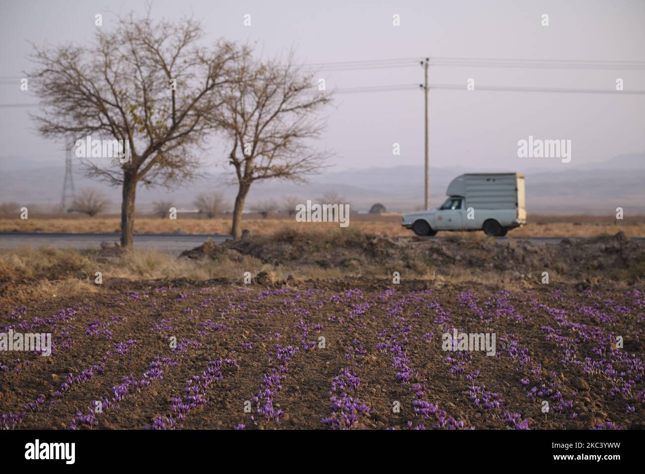 Torbat heydariyeh -Fotos und -Bildmaterial in hoher Auflösung – Alamy