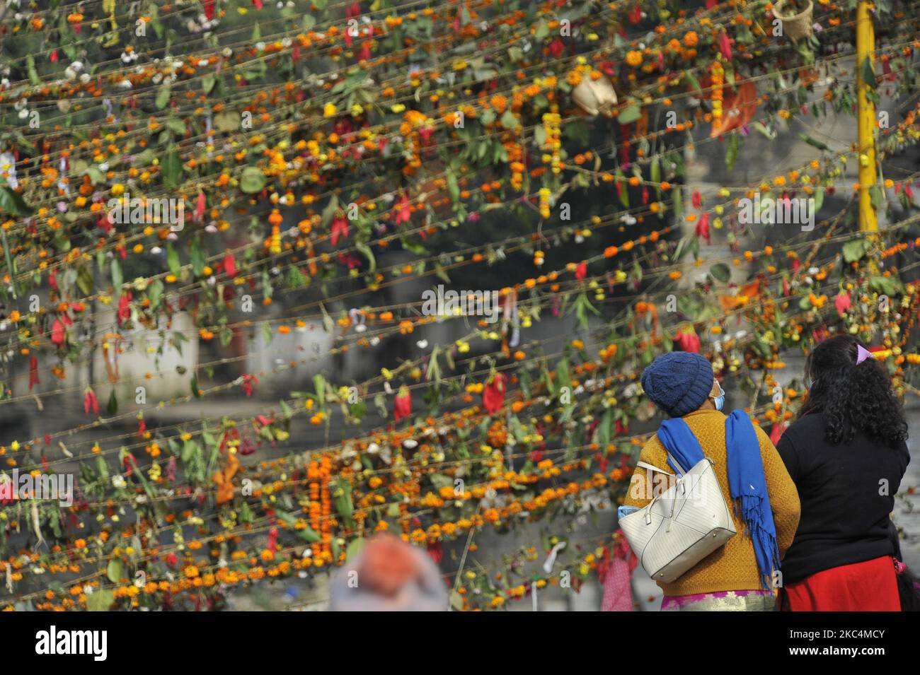 Tulsi biwaha -Fotos und -Bildmaterial in hoher Auflösung – Alamy