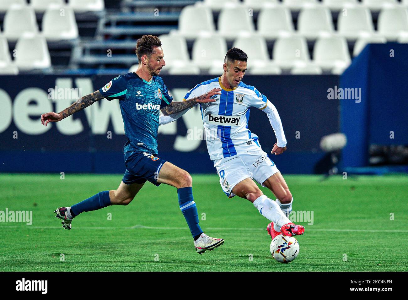 Fernando merino -Fotos und -Bildmaterial in hoher Auflösung – Alamy