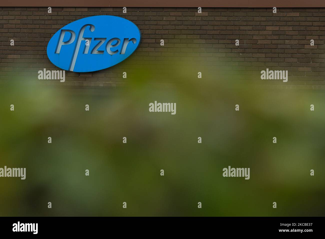 Pfizer irland pharmazeutika -Fotos und -Bildmaterial in hoher Auflösung ...