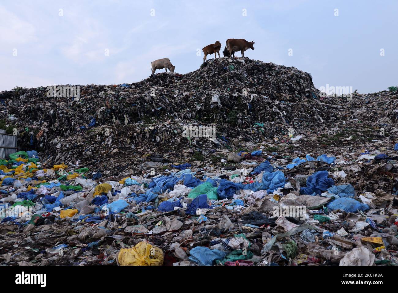 Boragaon deponie -Fotos und -Bildmaterial in hoher Auflösung – Alamy