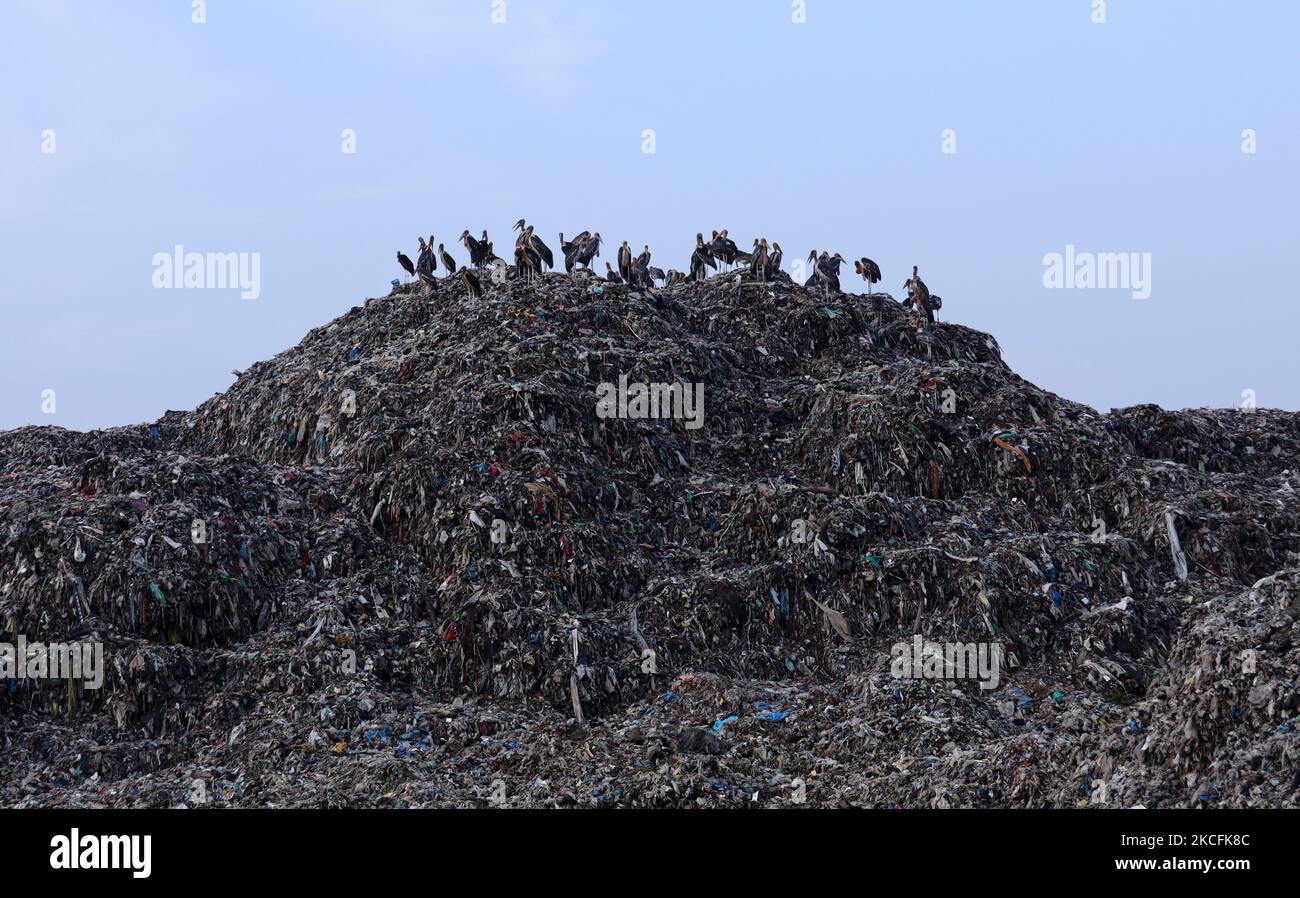 Boragaon deponie -Fotos und -Bildmaterial in hoher Auflösung – Alamy