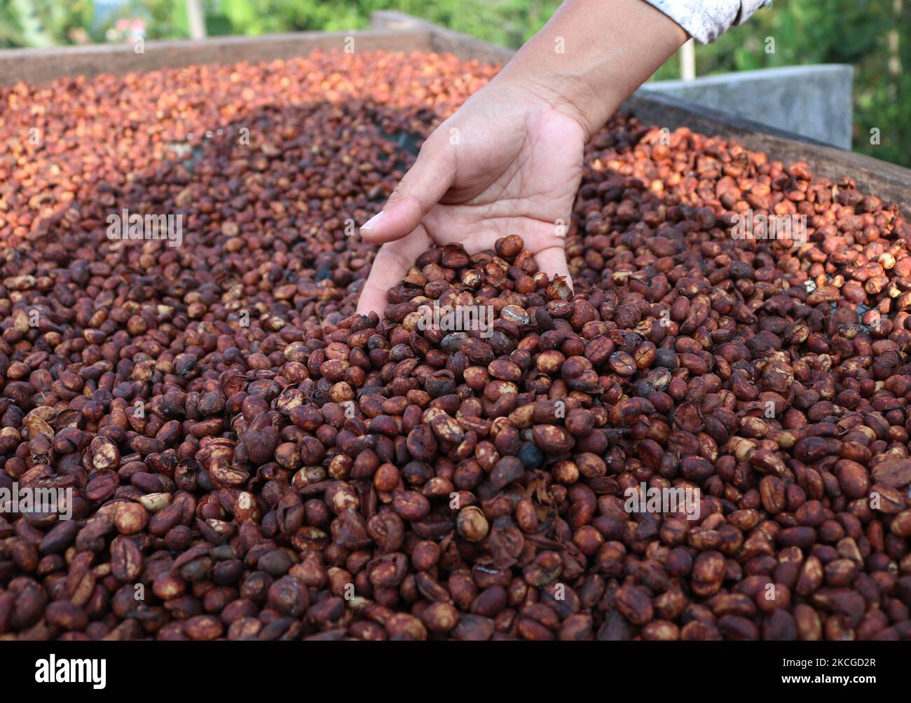 846 tonnen -Fotos und -Bildmaterial in hoher Auflösung – Alamy