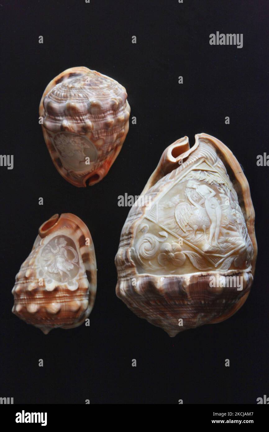 Bailey mathews museum -Fotos und -Bildmaterial in hoher Auflösung – Alamy