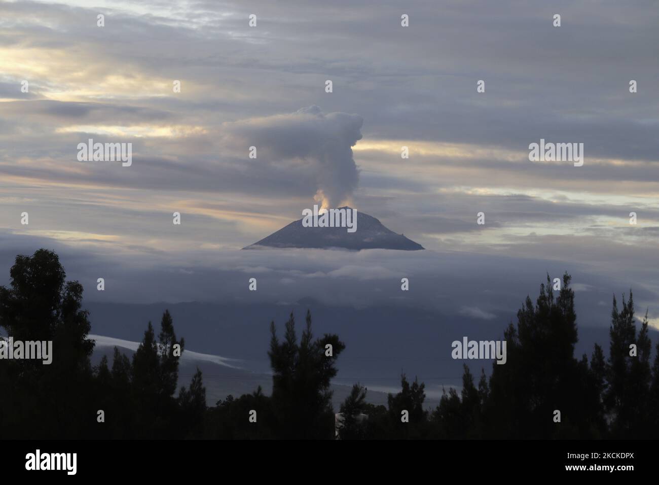 Vulkan popocatepetl in mexiko registriert aktivität -Fotos und ...