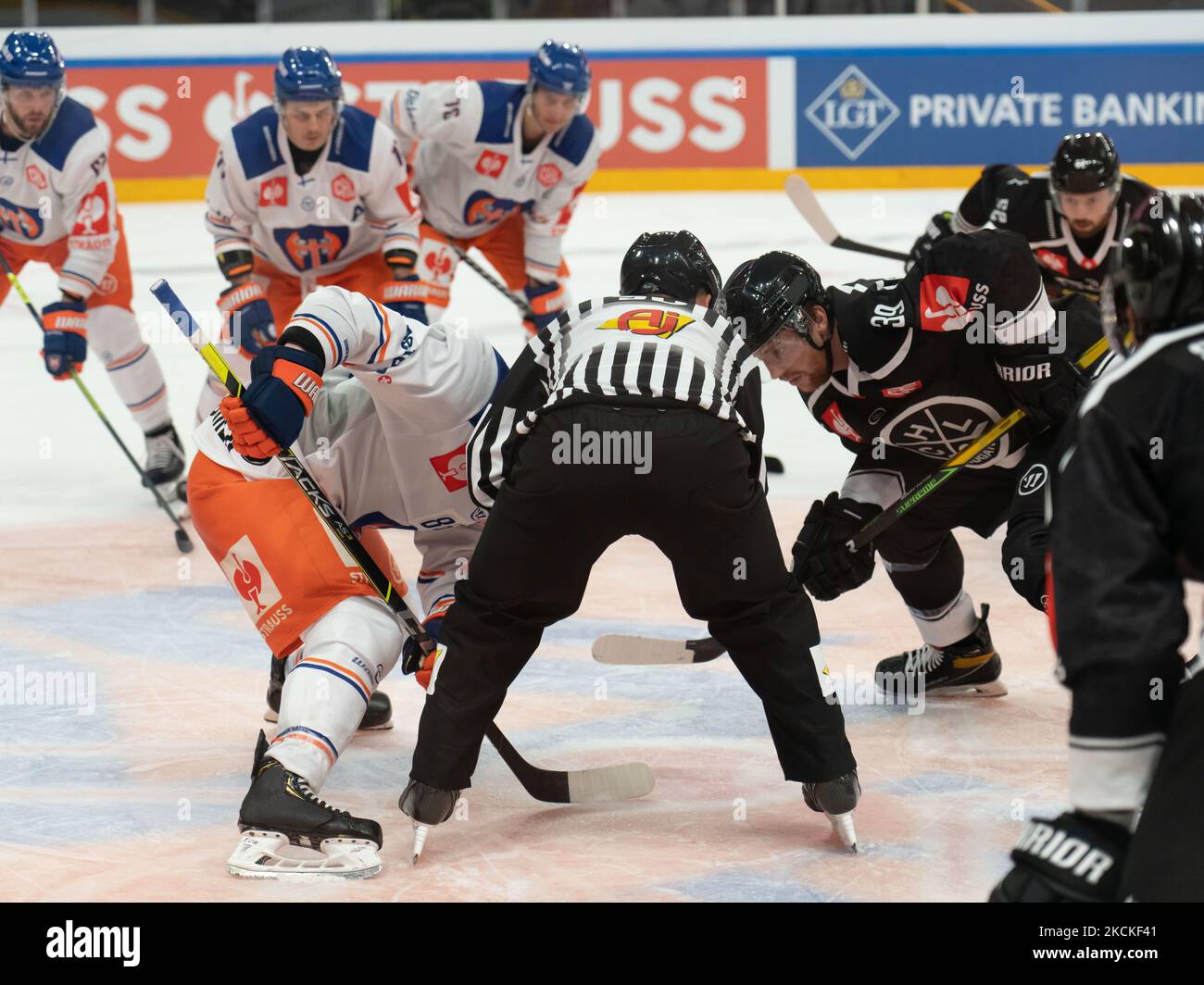 Lugano hockey champions hockey league match -Fotos und -Bildmaterial in ...