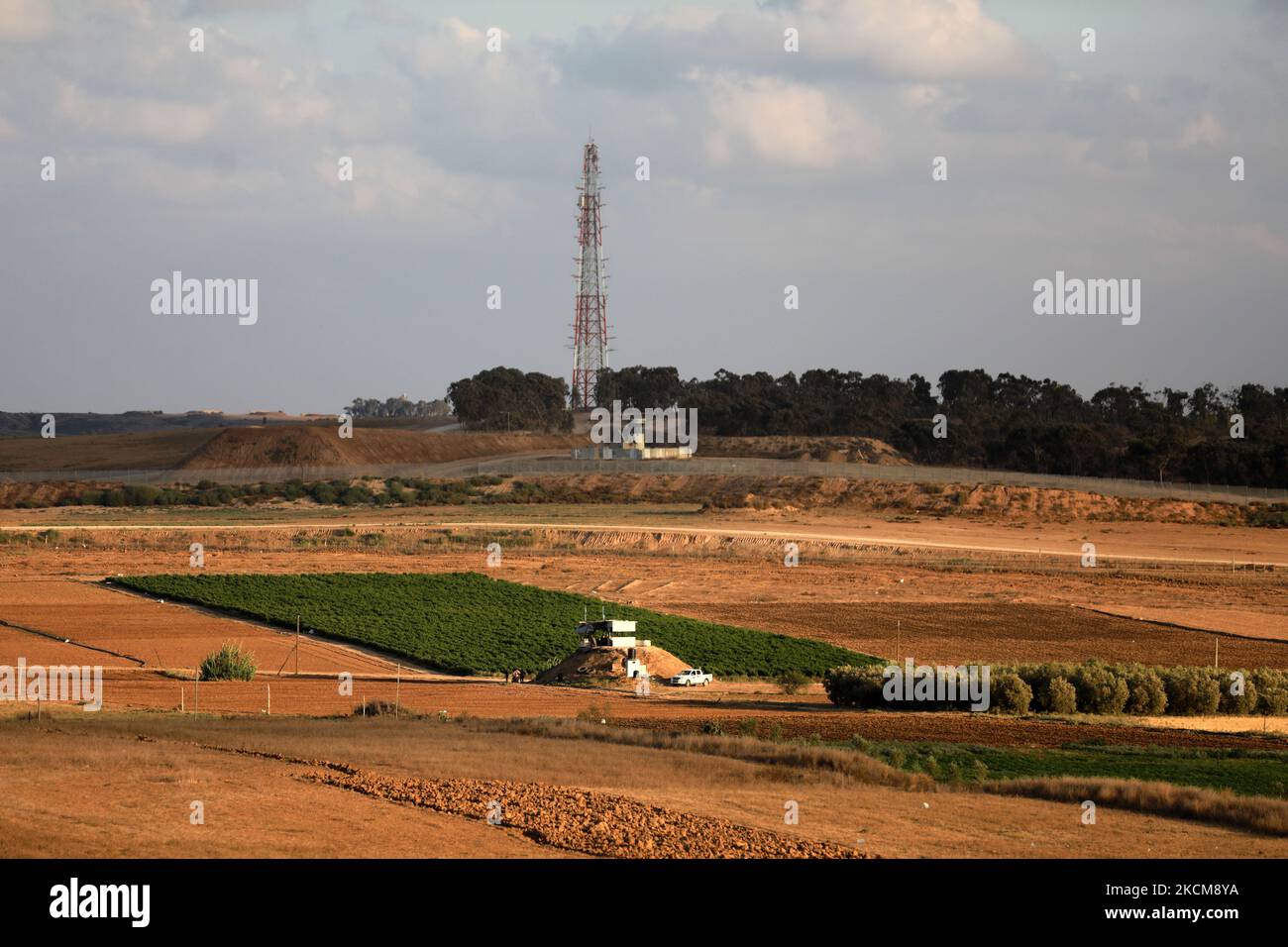 Juhor ad dik -Fotos und -Bildmaterial in hoher Auflösung – Alamy