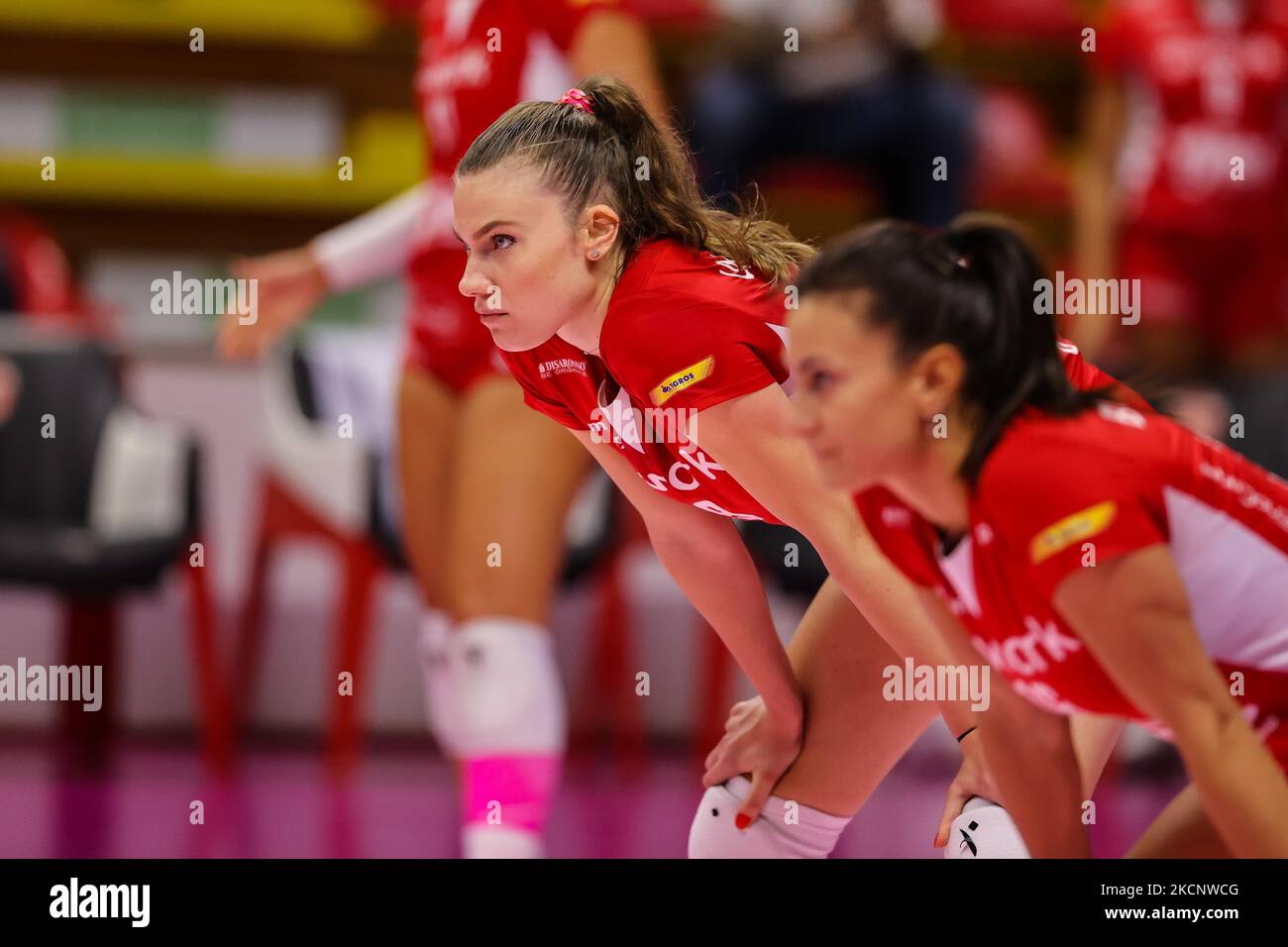 Ungureanu adelina -Fotos und -Bildmaterial in hoher Auflösung – Alamy