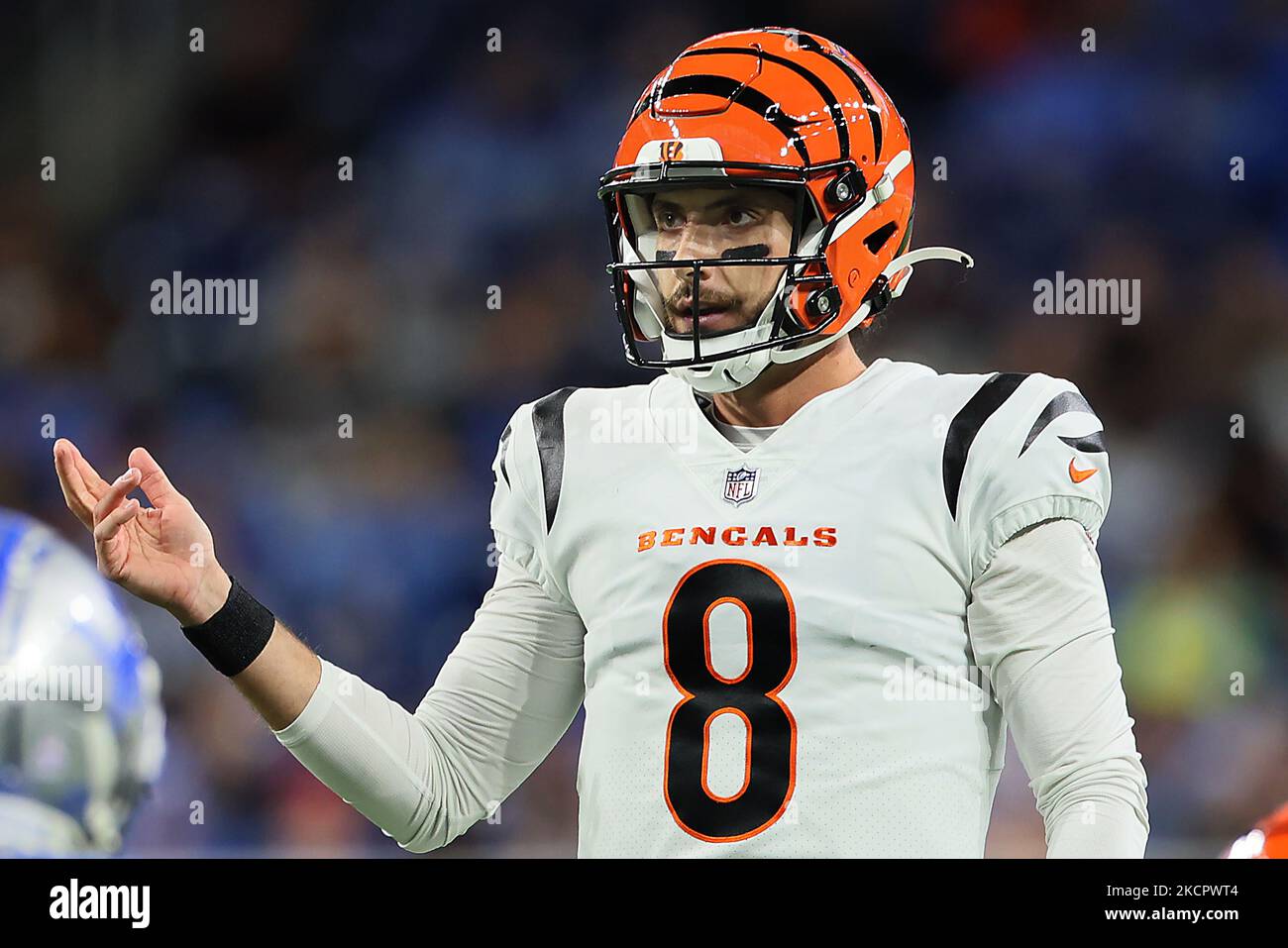 Cincinnati bengals quarterback brandon allen -Fotos und -Bildmaterial ...