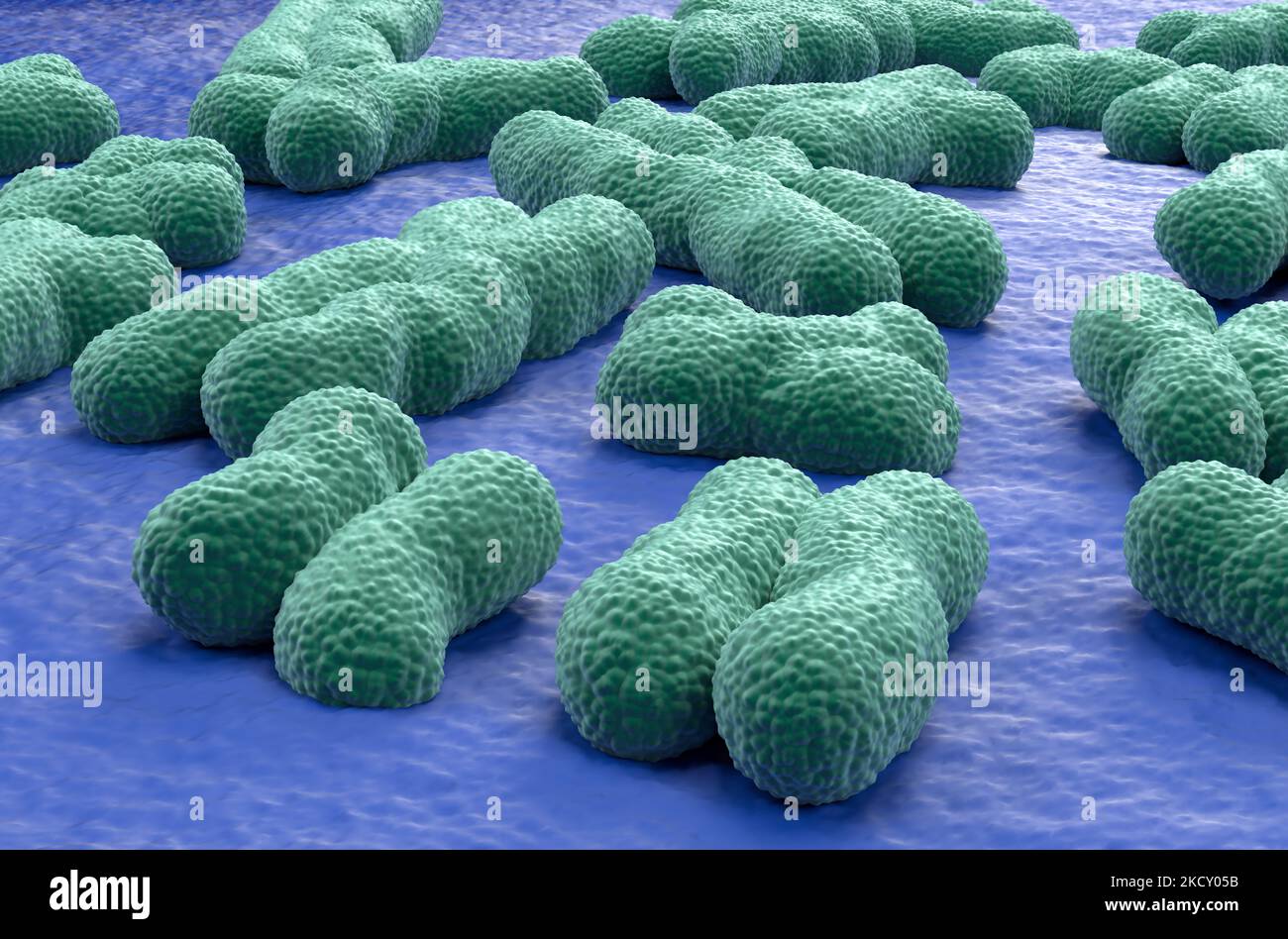 Menschliche Chromosomen (23 + X, Y) Strukturen aus Protein und einem ...