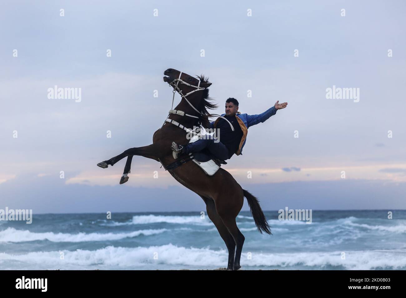 Pferdebeine in der luft -Fotos und -Bildmaterial in hoher Auflösung – Alamy