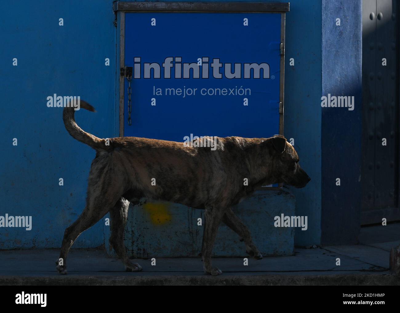 Telmex internetdienste -Fotos und -Bildmaterial in hoher Auflösung – Alamy