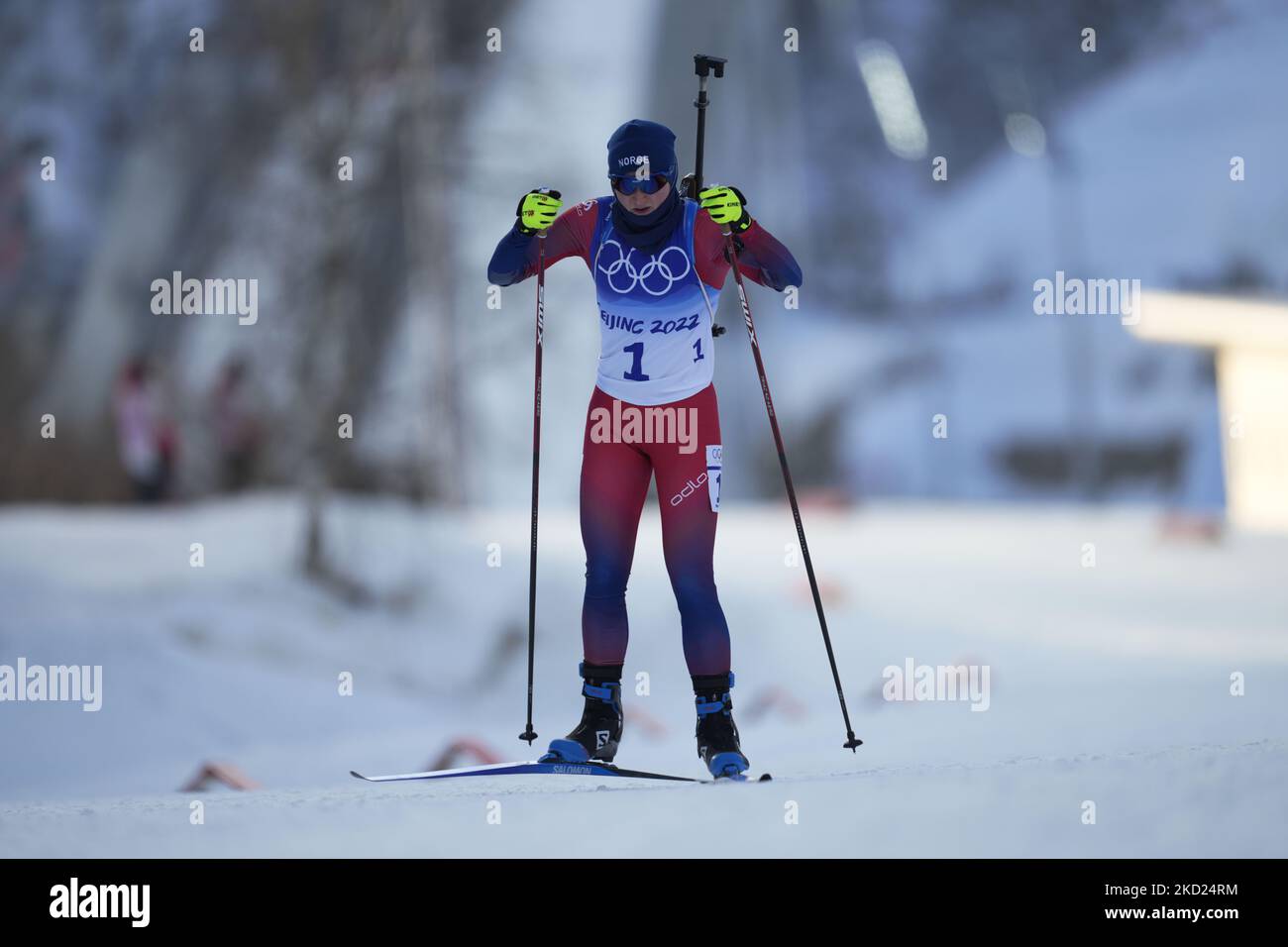 Norwegen bronzefoto -Fotos und -Bildmaterial in hoher Auflösung – Alamy