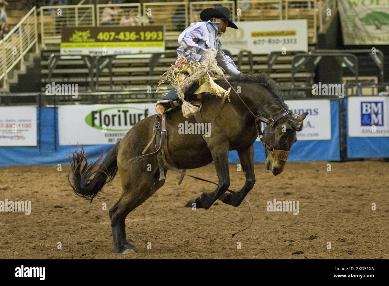 Rodeo der silbernen sporen -Fotos und -Bildmaterial in hoher Auflösung ...