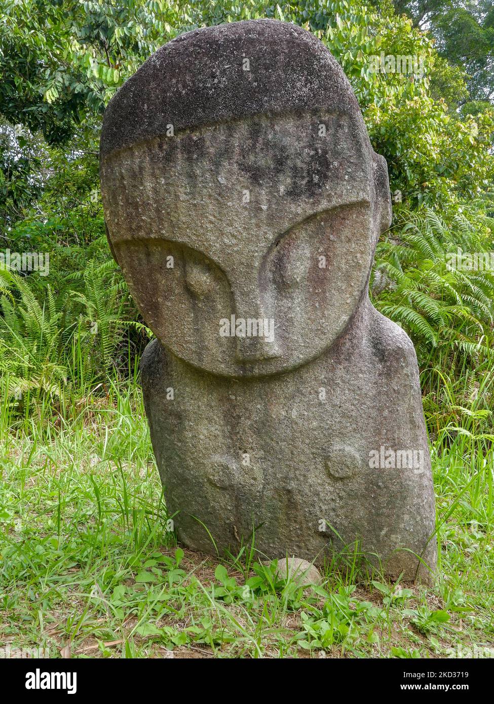 Lore lindu nationalpark -Fotos und -Bildmaterial in hoher Auflösung – Alamy