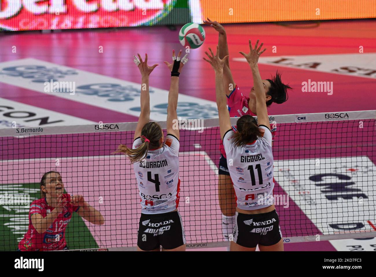Danielle Hancock (Igor Gorgonzola Novara)&XA; - Squarcini Federica ...