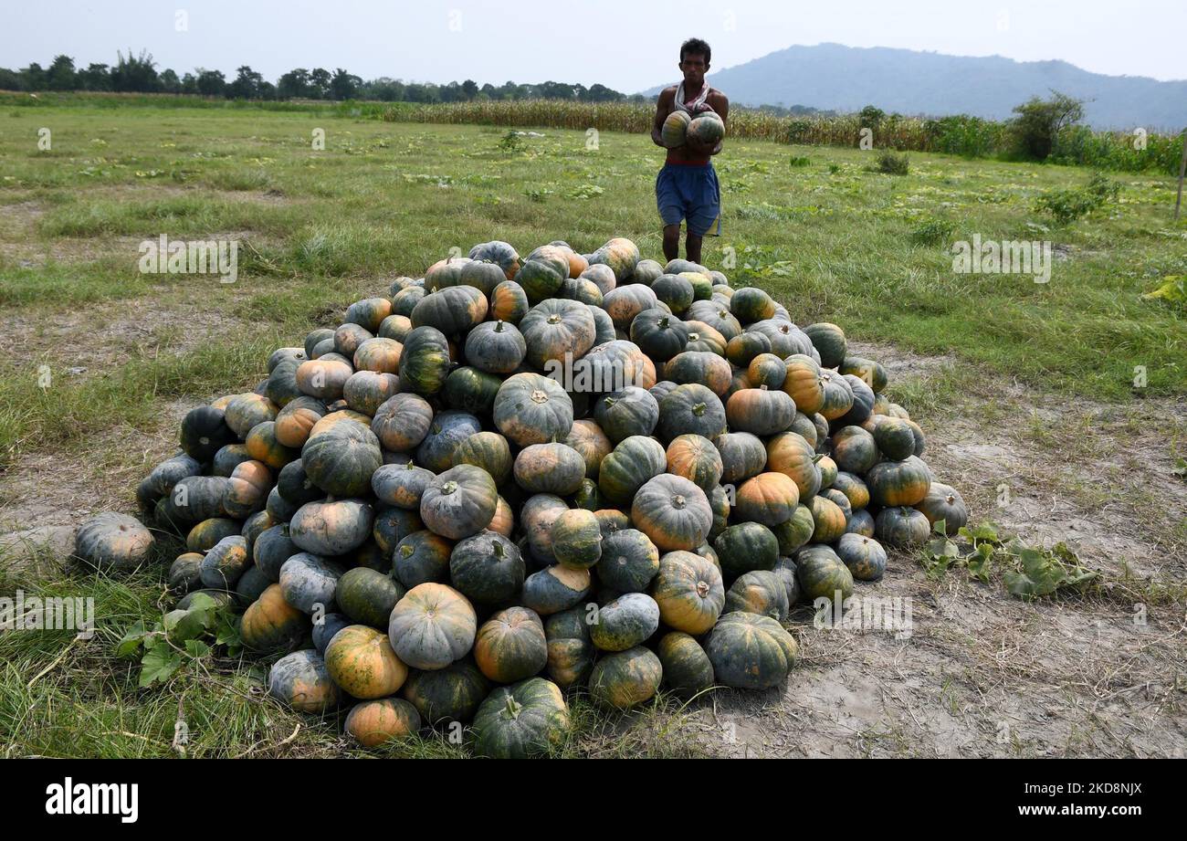 Chanaka dorf -Fotos und -Bildmaterial in hoher Auflösung – Alamy