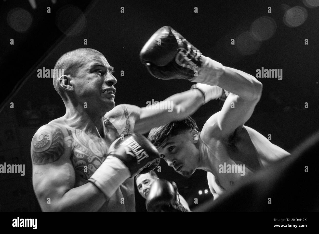 Sam rizzo -Fotos und -Bildmaterial in hoher Auflösung – Alamy