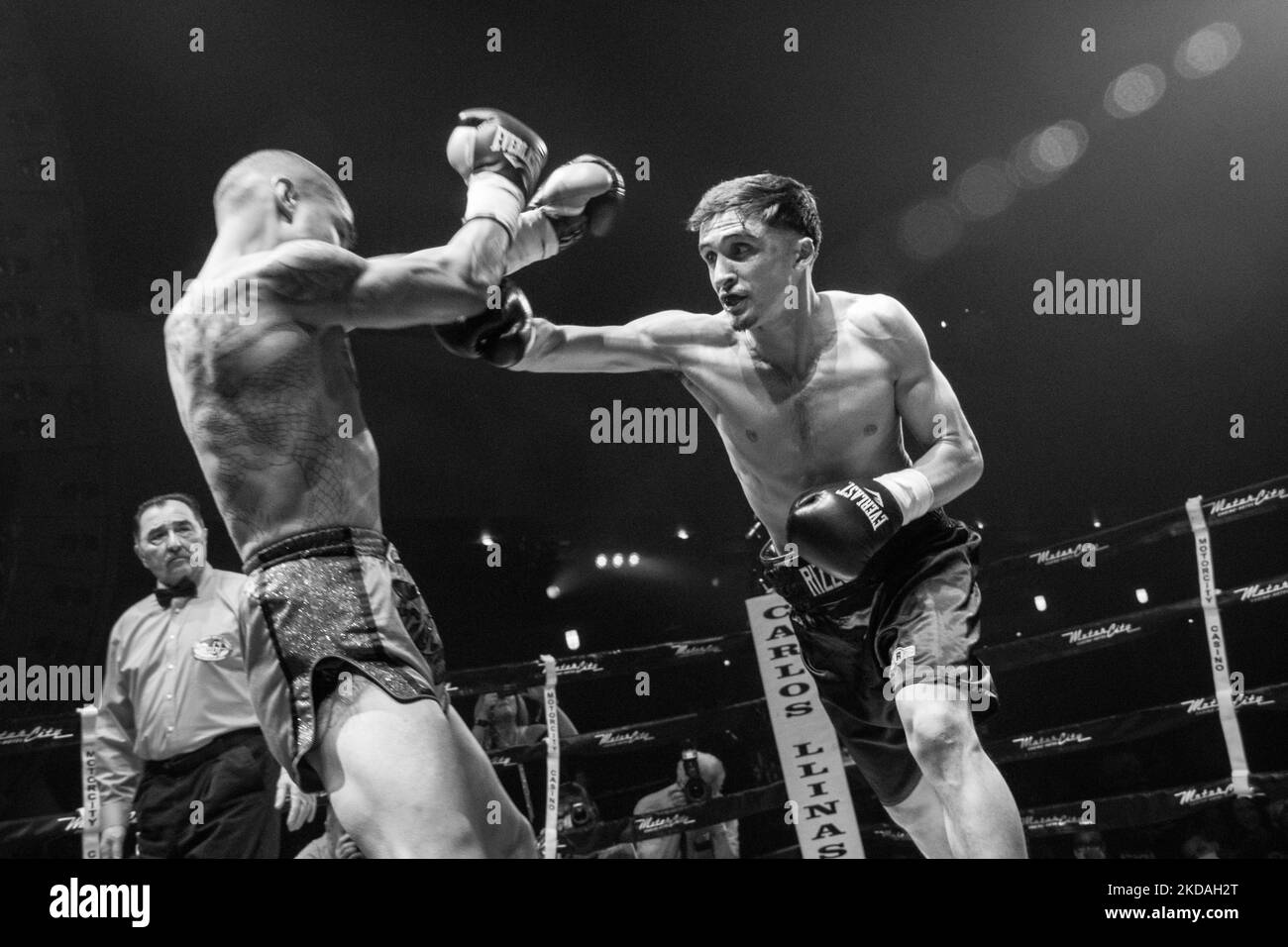 Sam rizzo -Fotos und -Bildmaterial in hoher Auflösung – Alamy