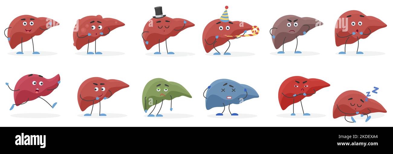 Nette menschliche Organ Leber Cartoon Charakter positive und negative ...