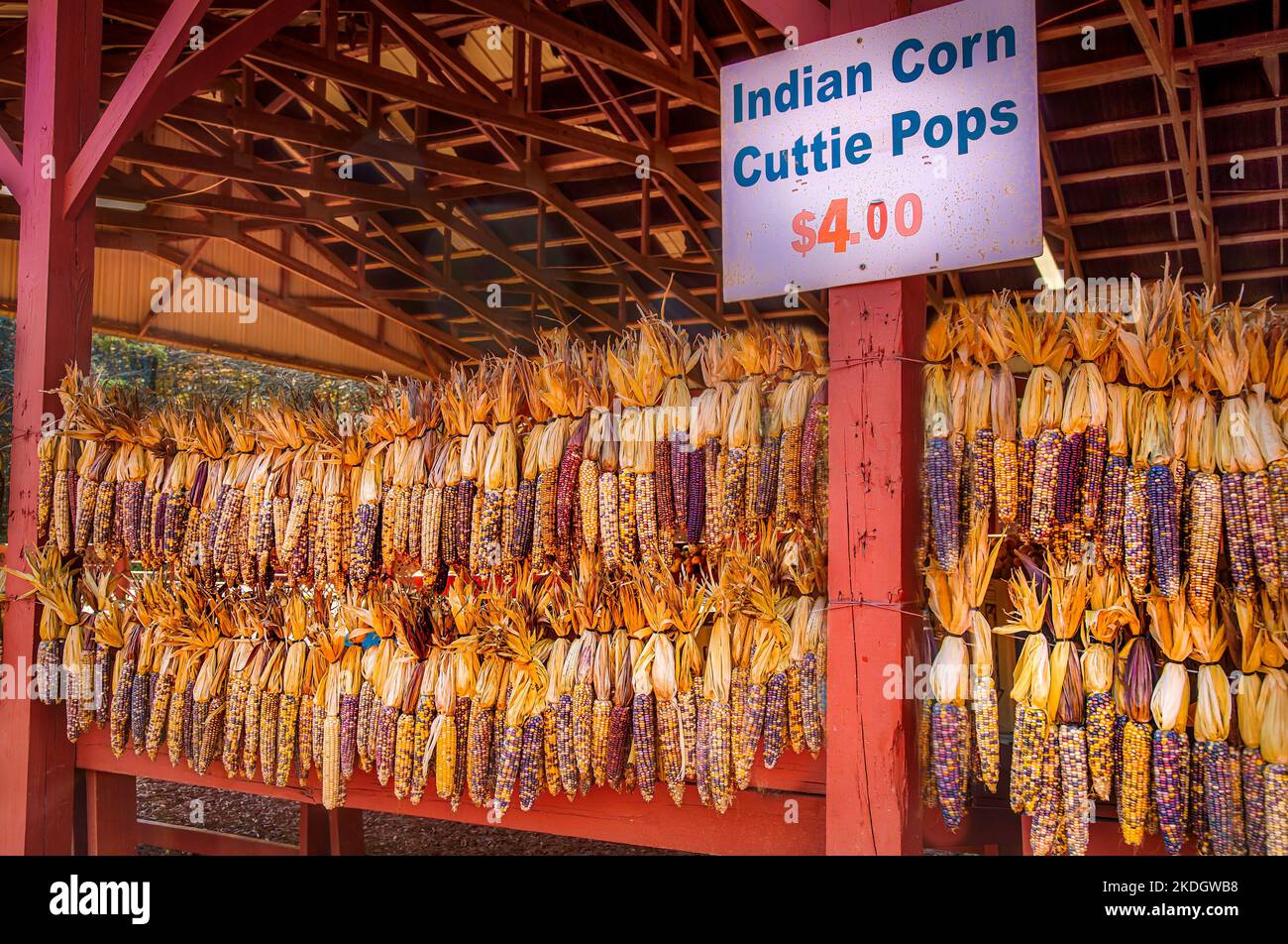 Schwul indisch -Fotos und -Bildmaterial in hoher Auflösung – Alamy