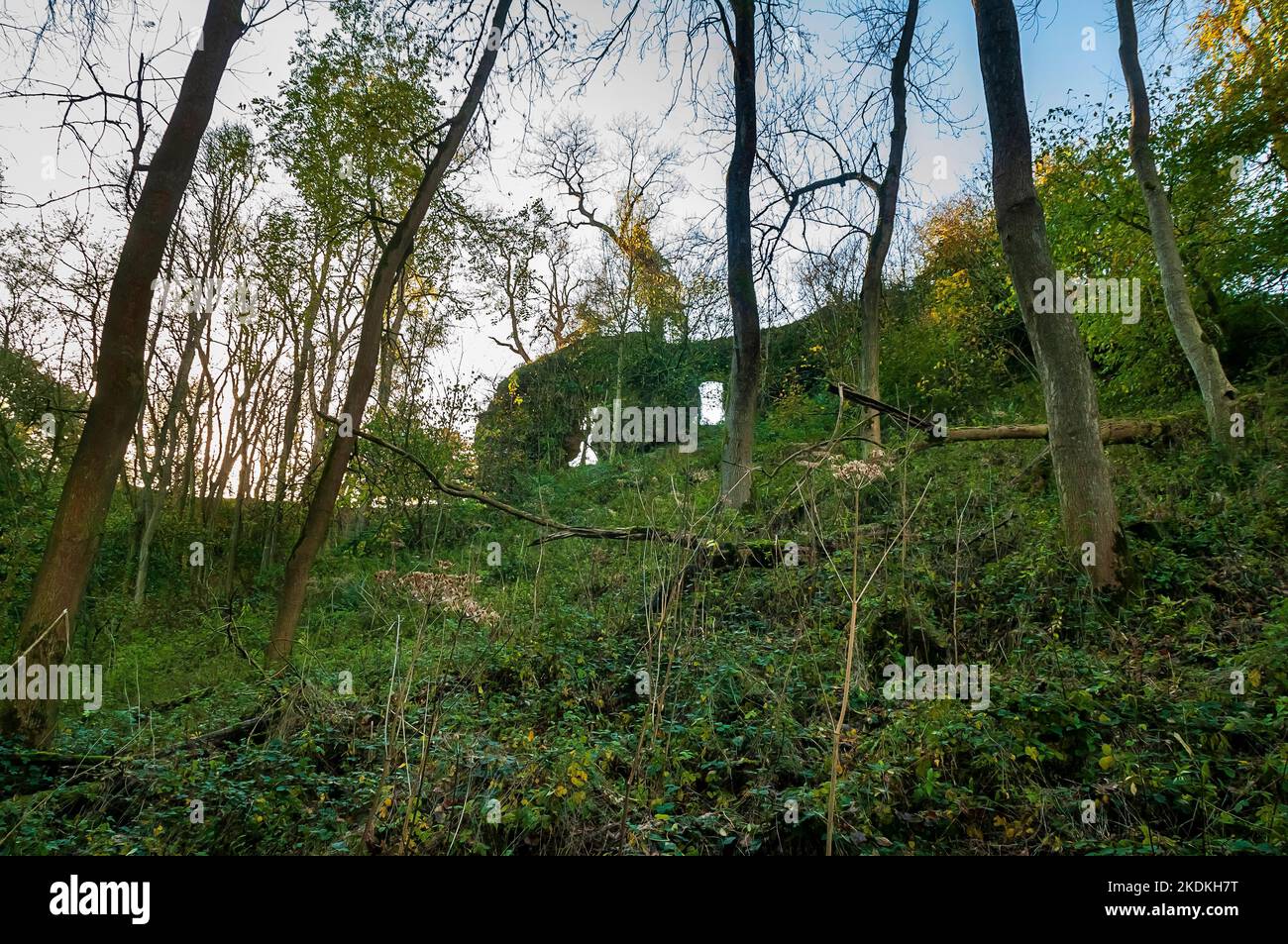 Kuckuck kirche -Fotos und -Bildmaterial in hoher Auflösung – Alamy