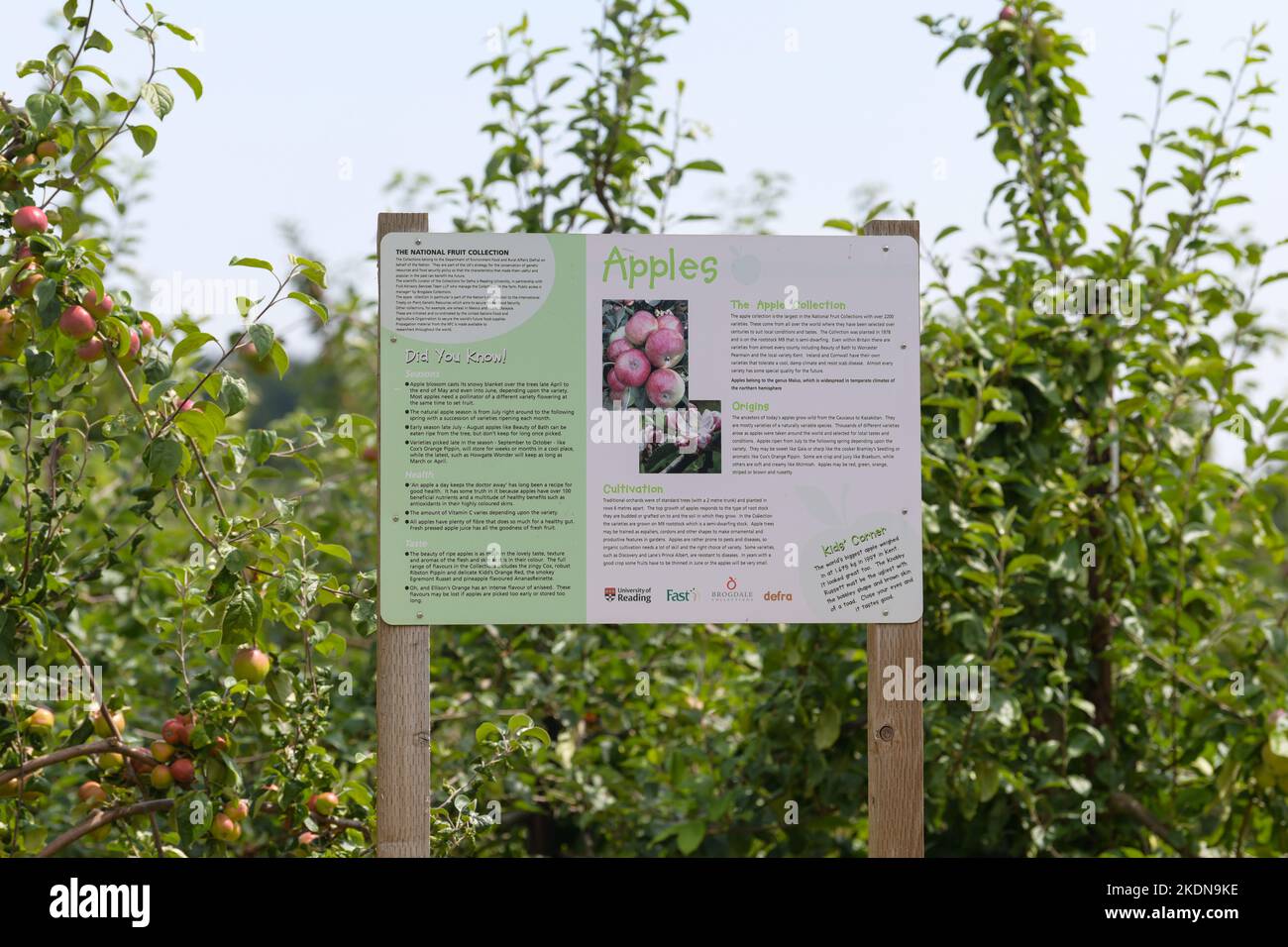 Brogdale collections nationale obstsammlung -Fotos und -Bildmaterial in ...