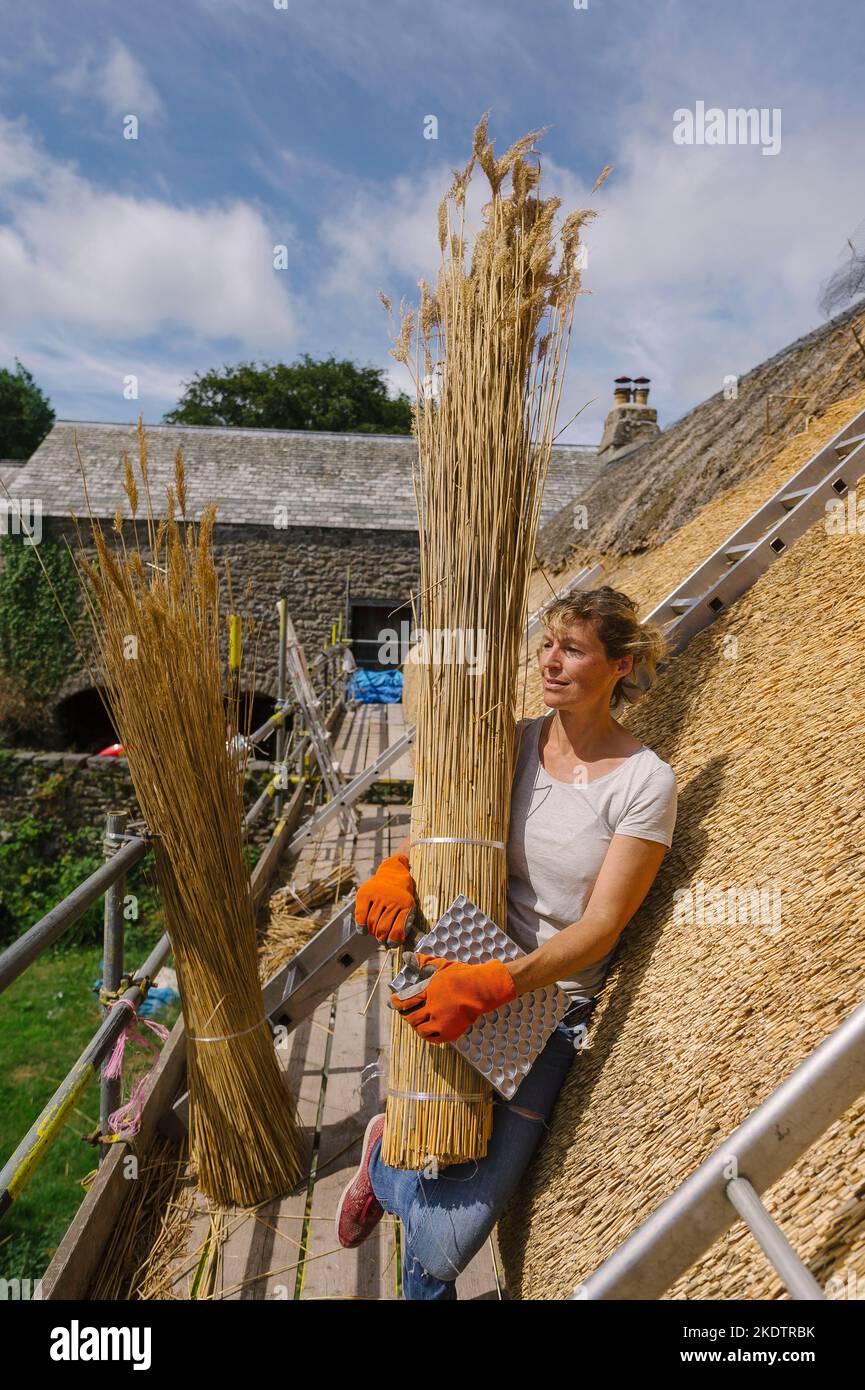 Bild von Jim Wileman - Jane Rush, aufgenommen auf der Lower Jurston ...