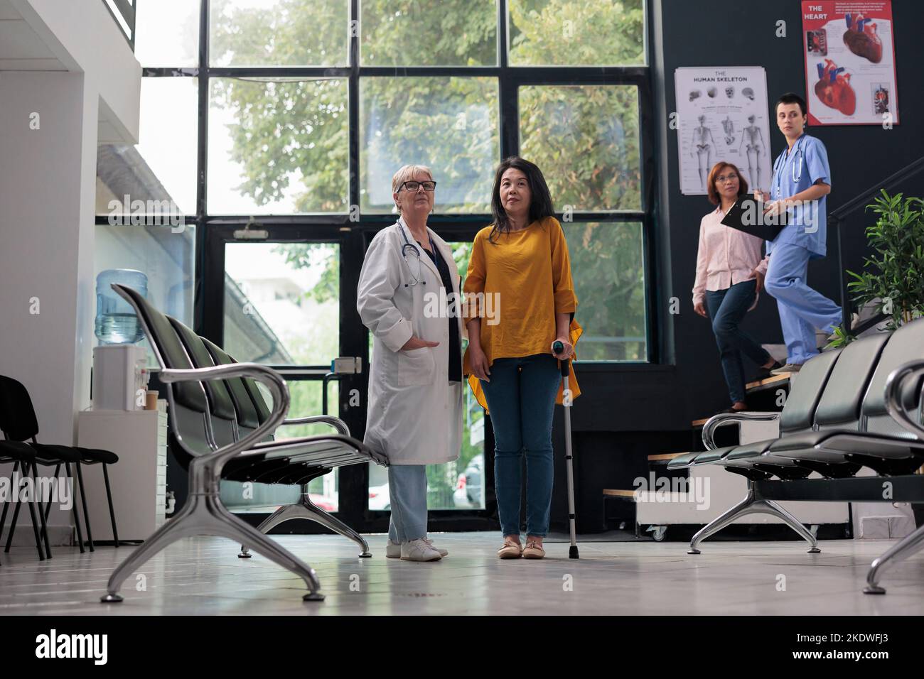 Leitender Arzt hilft einer Patientin mit Beinverletzung bei der ...