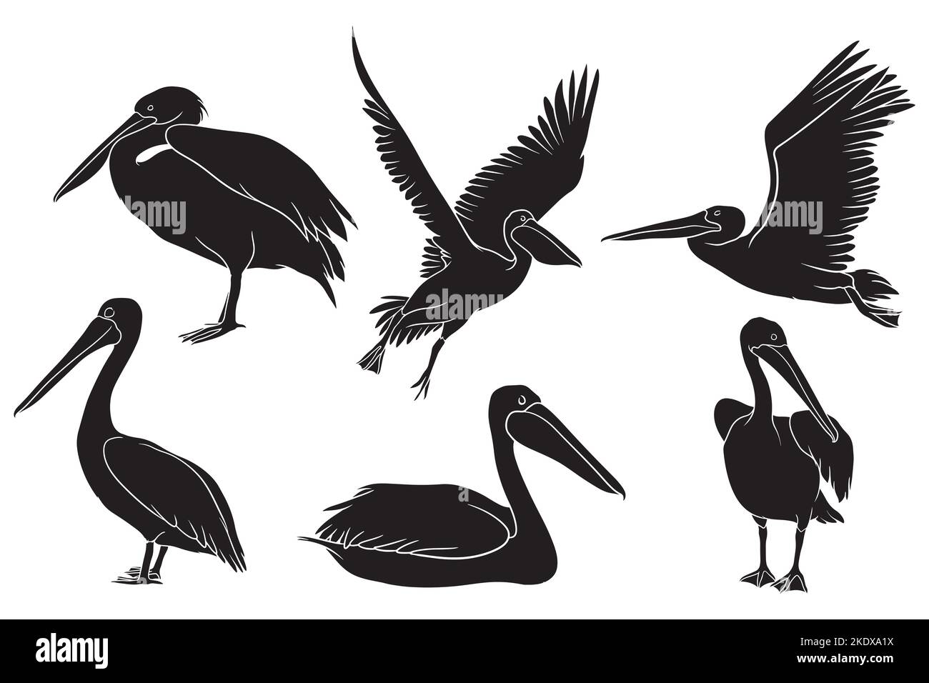 Pelican silhouette Stock-Vektorgrafiken kaufen - Alamy