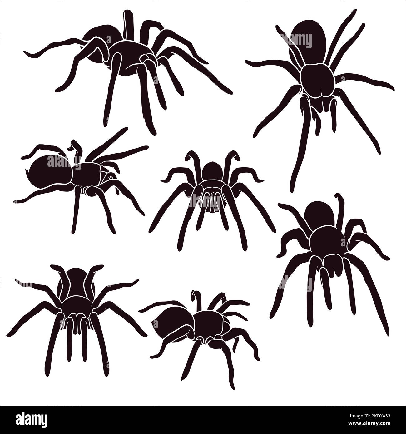Vogelspinne silhouette Stock-Vektorgrafiken kaufen - Alamy