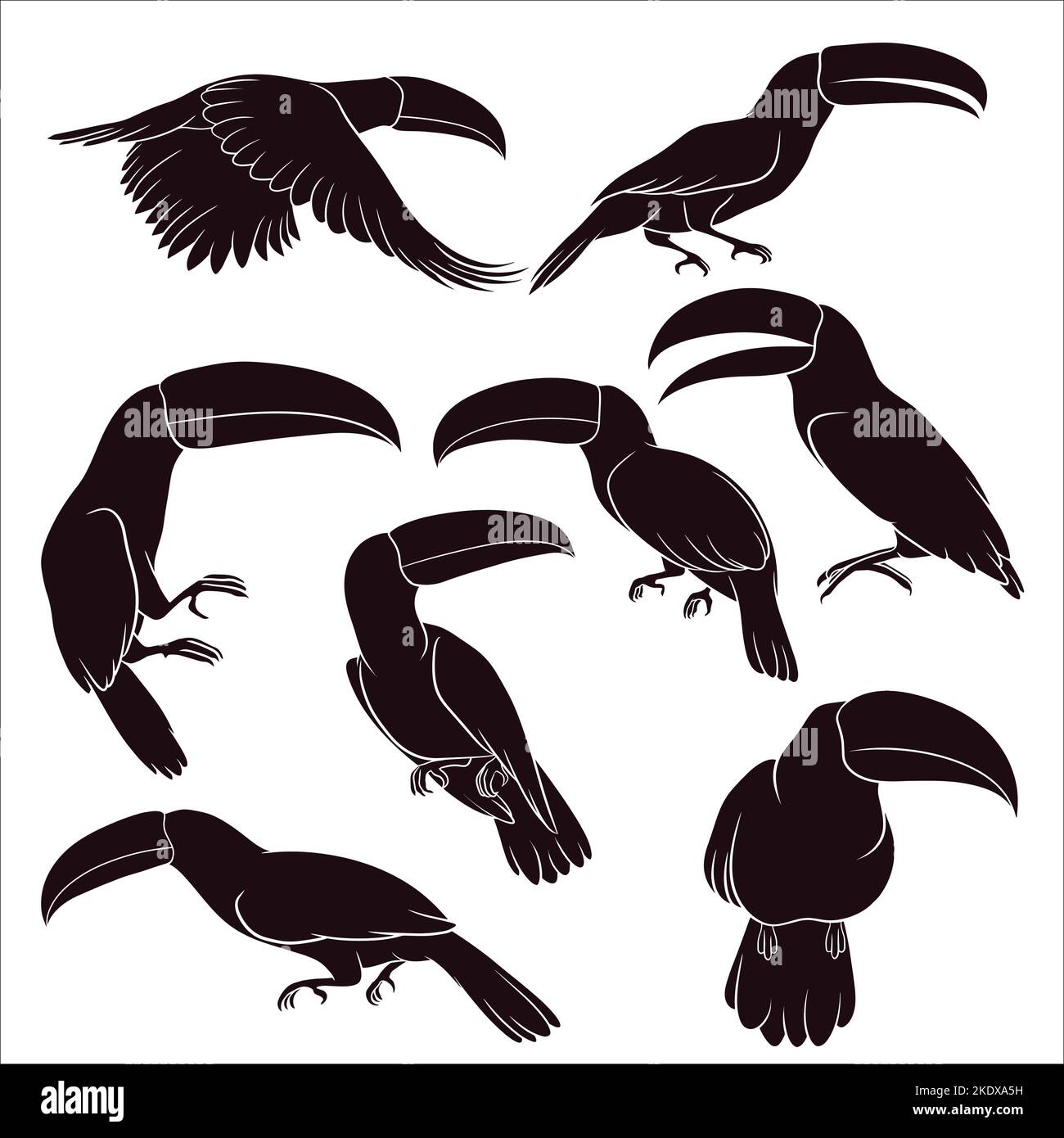 Toucan silhouette Stock-Vektorgrafiken kaufen - Alamy