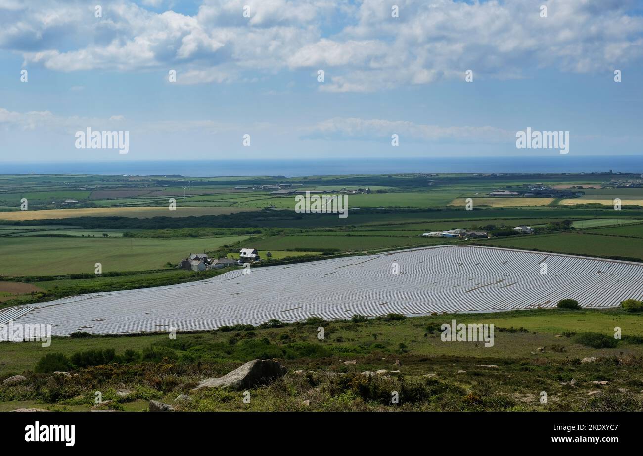 Plastic membrane -Fotos und -Bildmaterial in hoher Auflösung – Alamy