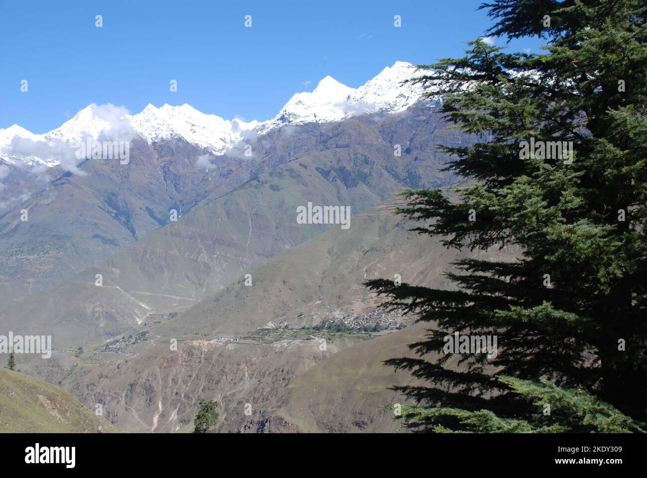 Shay fields -Fotos und -Bildmaterial in hoher Auflösung – Alamy