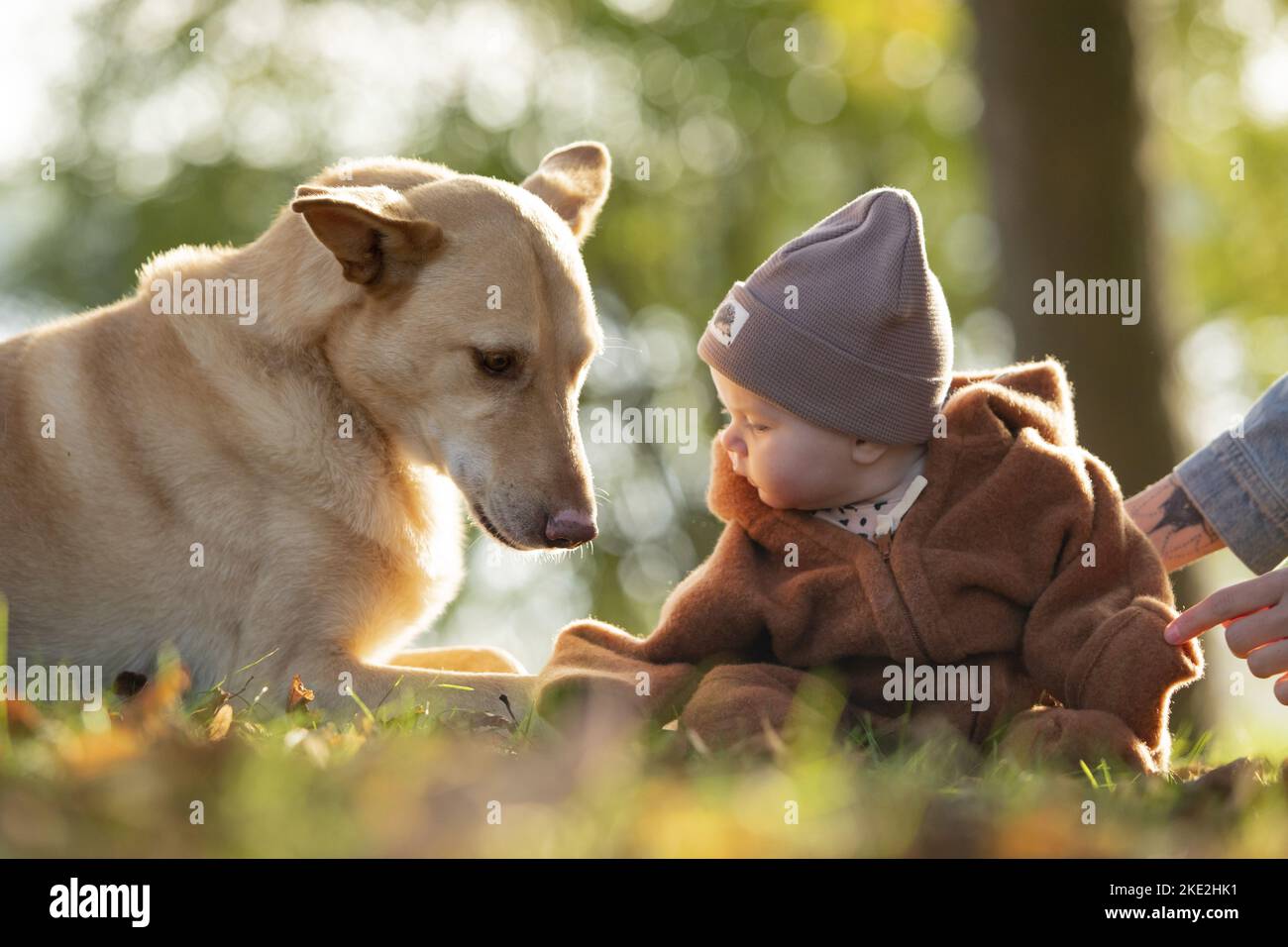 Profil und frontal kind -Fotos und -Bildmaterial in hoher Auflösung – Alamy