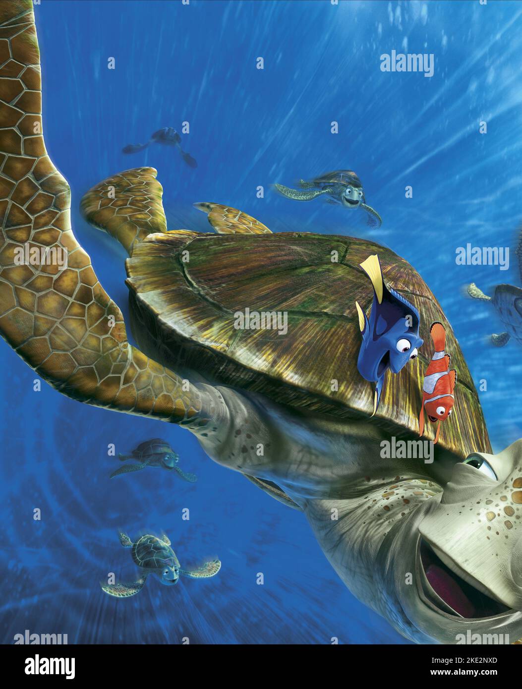 Finding nemo and finding dory -Fotos und -Bildmaterial in hoher ...
