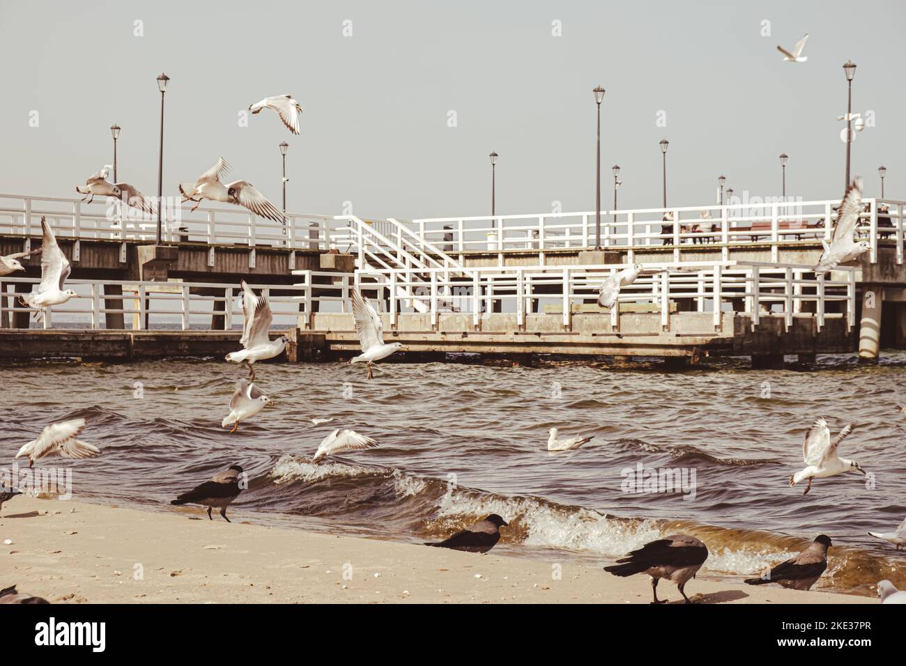 Der längste Pier von Sopot molo in Europa. Ostsee und die Sonne. Möwen ...