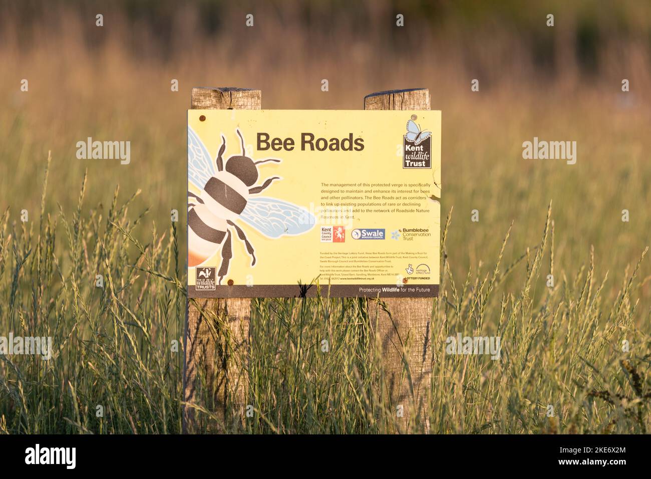 Kent wildlife trust bee roads -Fotos und -Bildmaterial in hoher ...