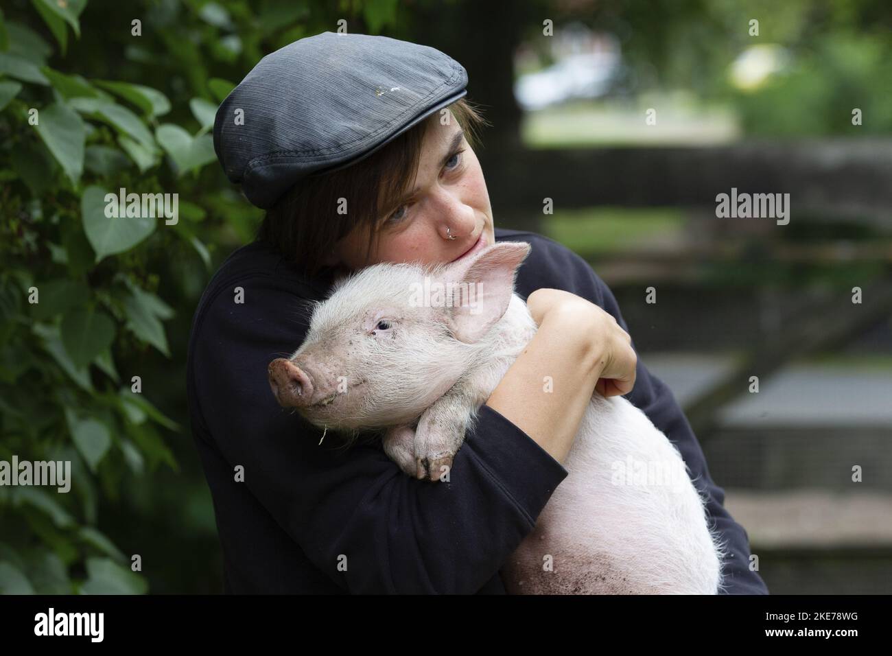 Mini pig piglet -Fotos und -Bildmaterial in hoher Auflösung – Alamy