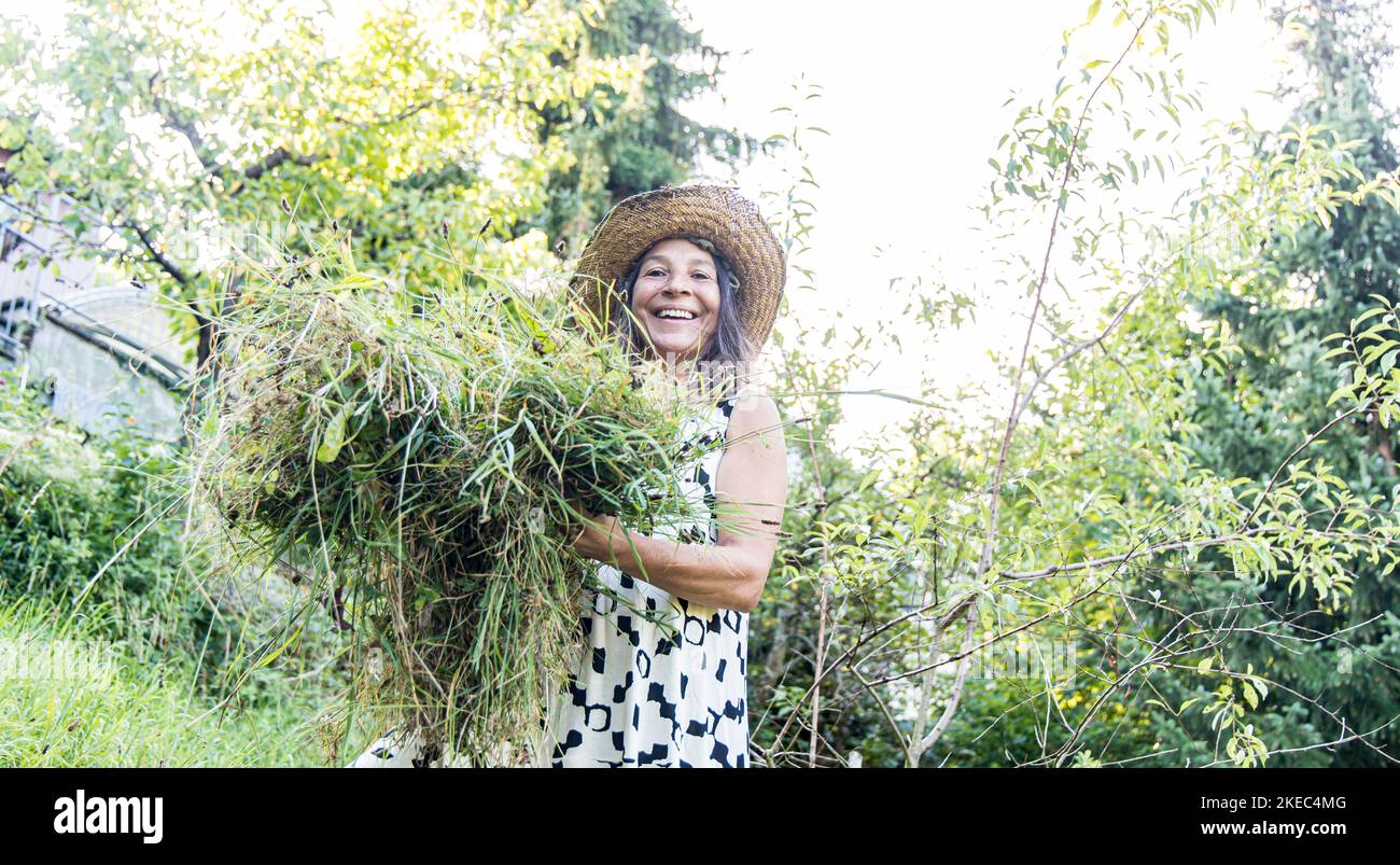 Sense langes gras -Fotos und -Bildmaterial in hoher Auflösung – Alamy