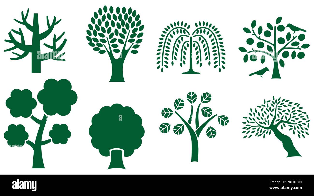 Oak tree silhouette white background Stock-Vektorgrafiken kaufen ...