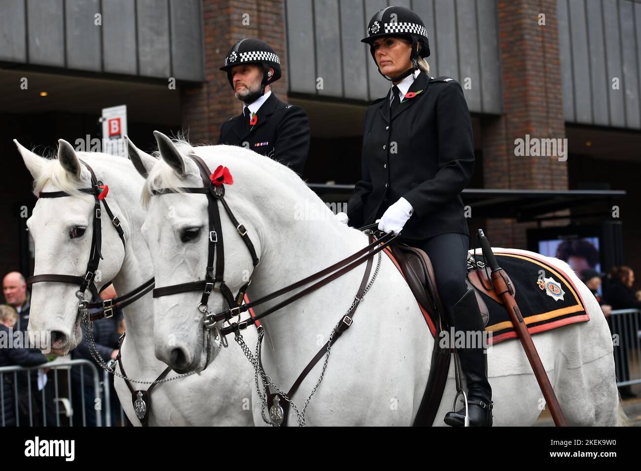 Newcastle parker und pluto von der northumbria police horse division ...