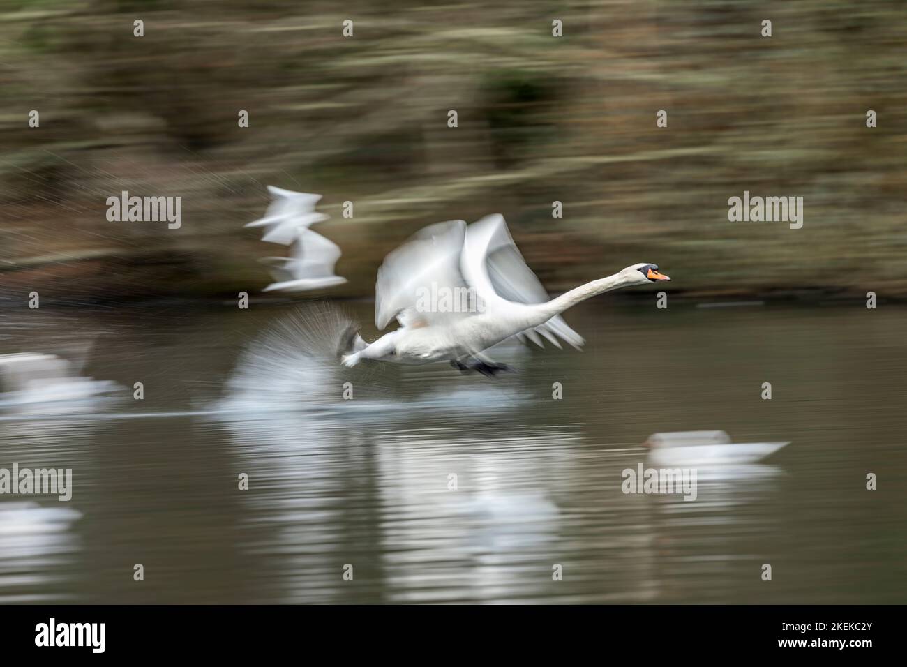 Slow shutter speed -Fotos und -Bildmaterial in hoher Auflösung – Alamy
