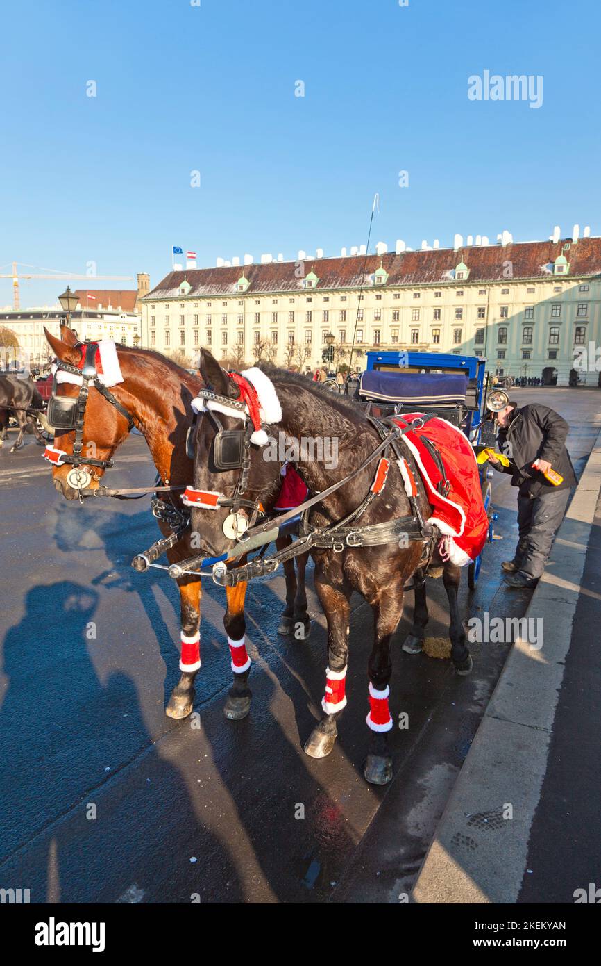 Wien, Österreich - 27. November 2010: Der Fahrer des Fiakers ist in ...