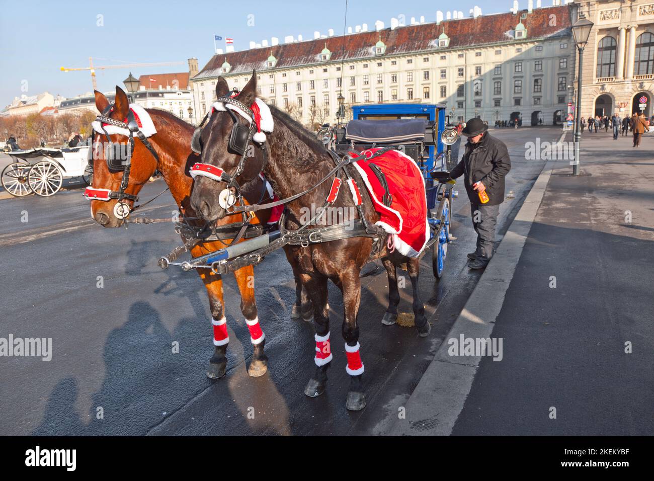 Wien, Österreich - 27. November 2010: Der Fahrer des Fiakers ist in ...