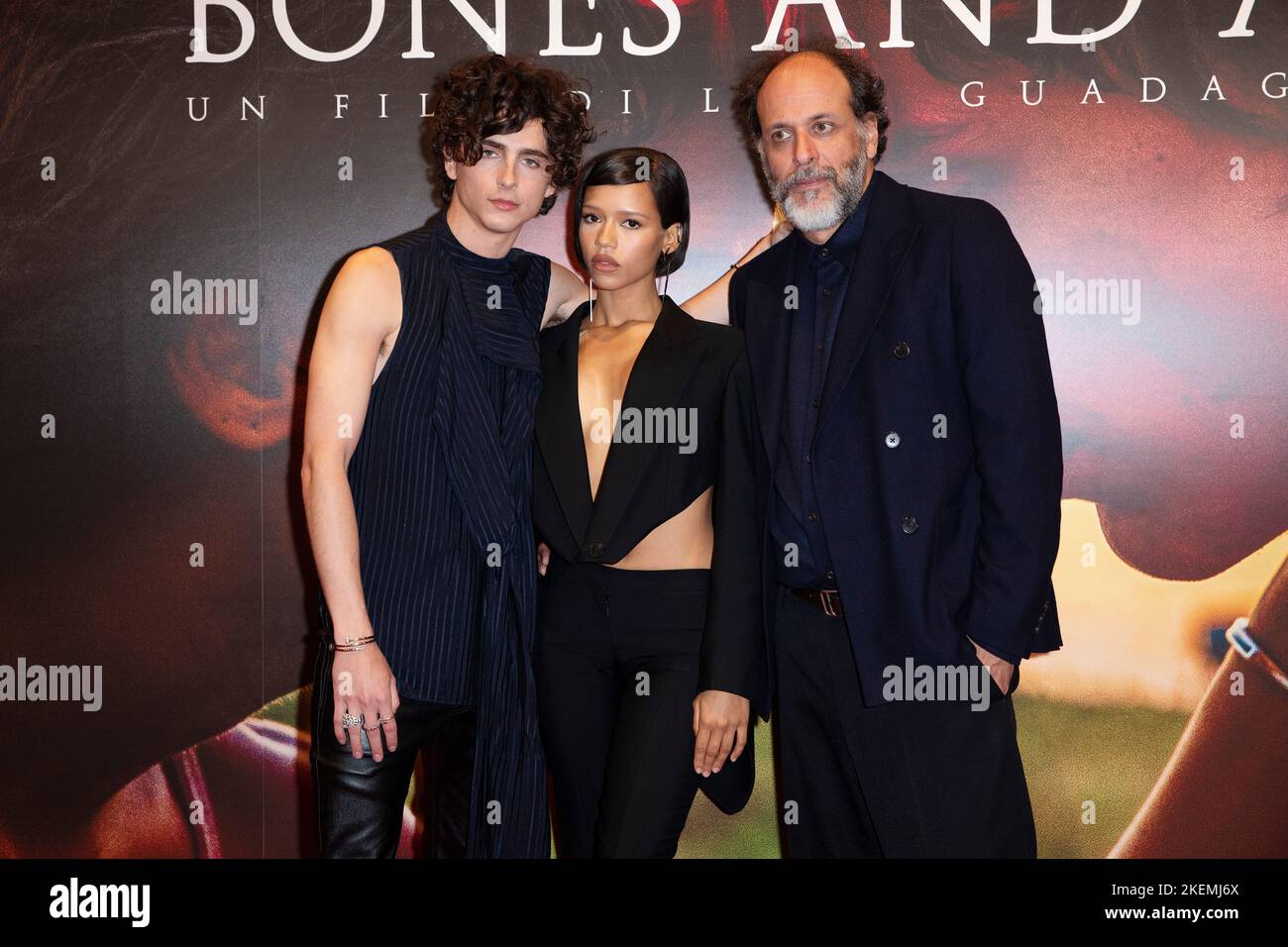 MAILAND, ITALIEN - 12. NOVEMBER: Timothee Chalamet, Taylor Russell und Luca Guadagnino nehmen am ...