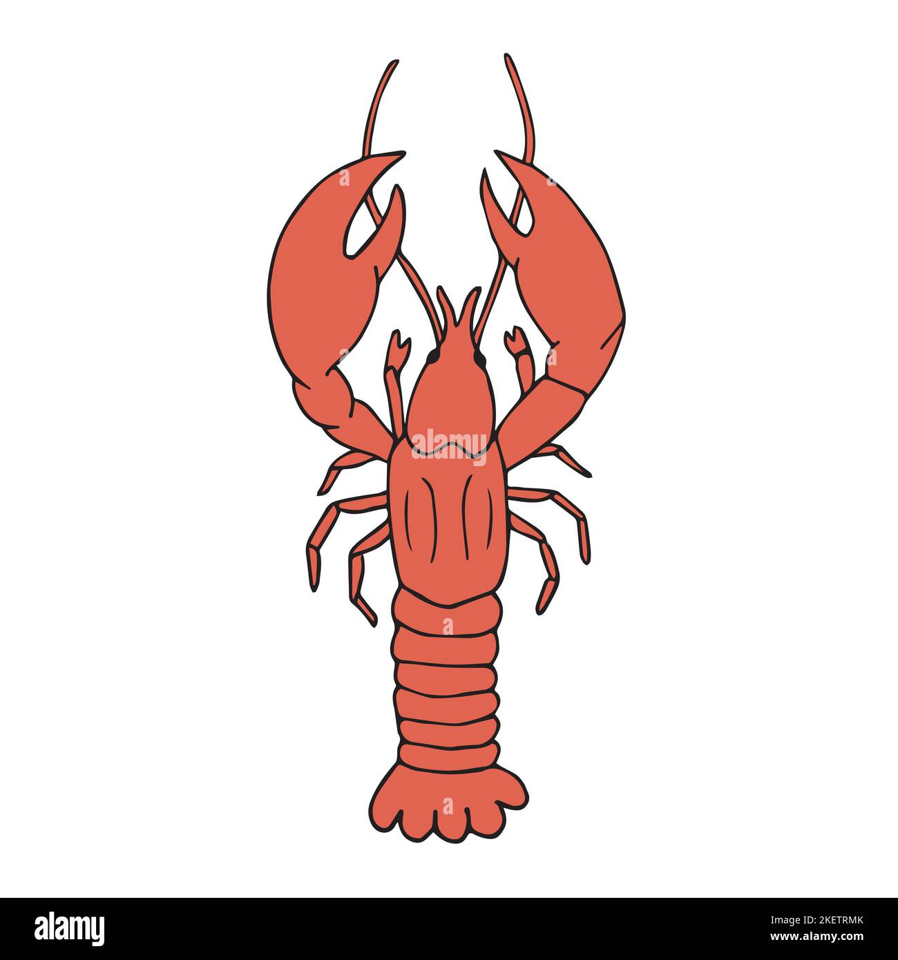 Vektor Hand gezeichnete Doodle Skizze farbigen Hummer isoliert auf ...