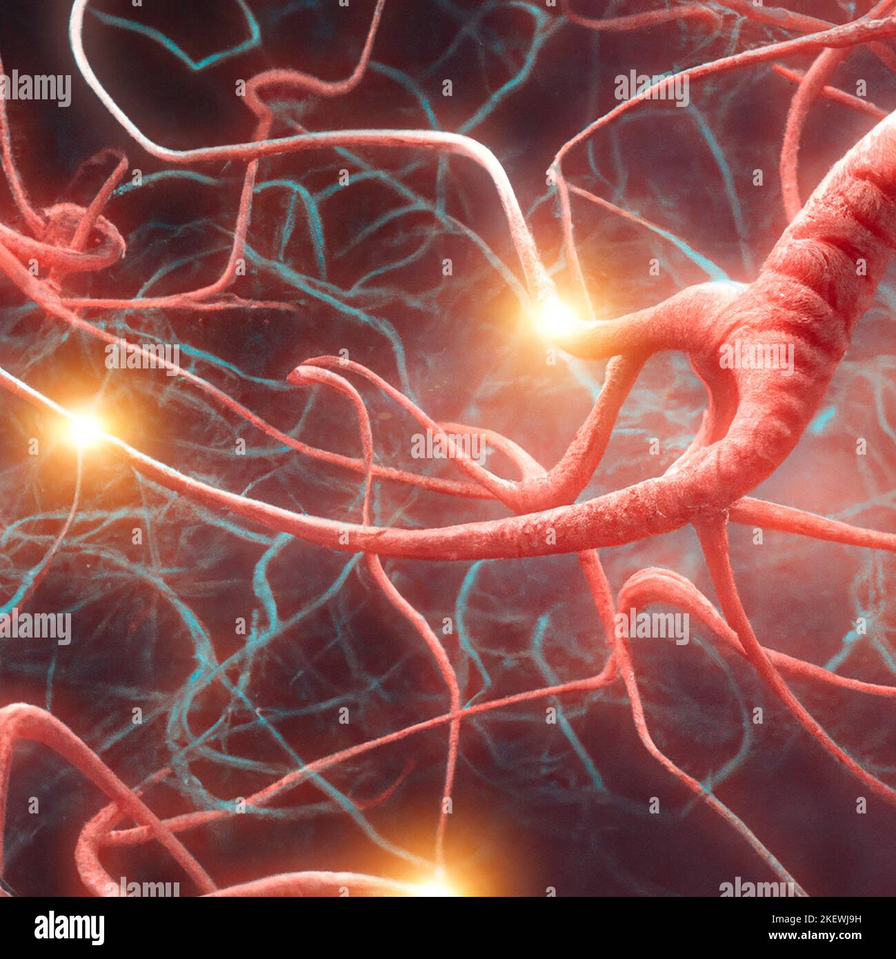 Ansicht der synapsen gehirnverbindungen neuronen und synapsen ...